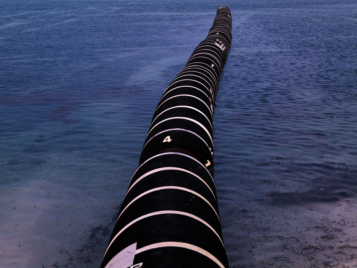 The Money Islands | VQR